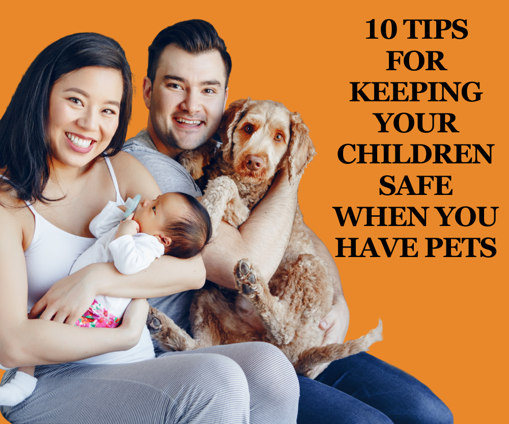 10 Tips To Keep Kids Safe With Pets | Animal Hospital Of Sussex County