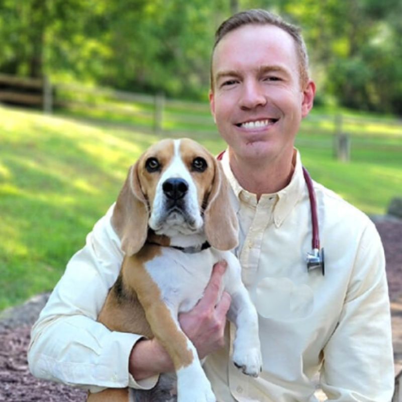 Veterinarian In Newton, NJ | Animal Hospital Of Sussex County